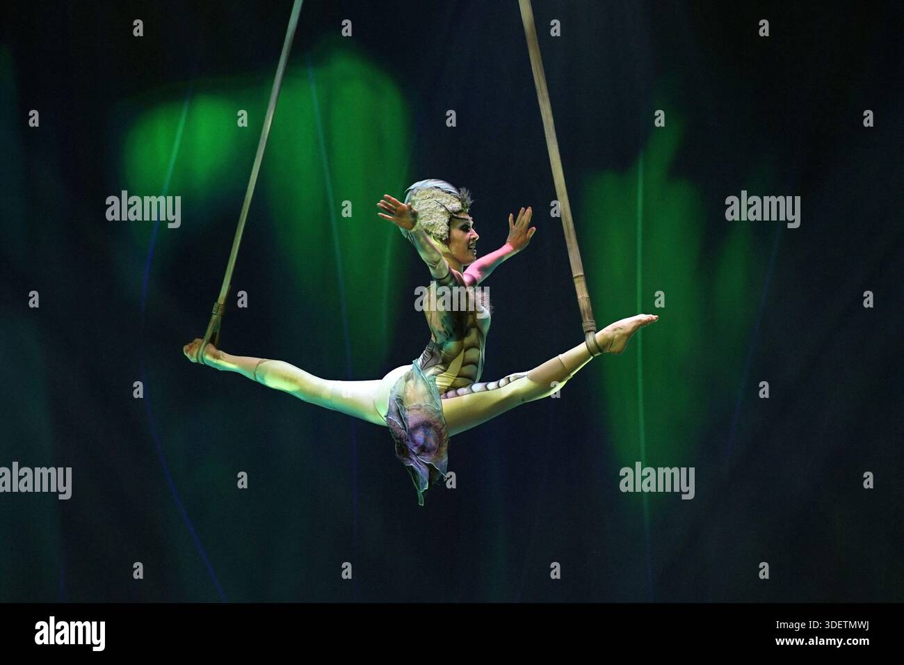 LONDON, ENGLAND - JANUARY 08: Cirque Du Soleil "OVO" at The Royal ...