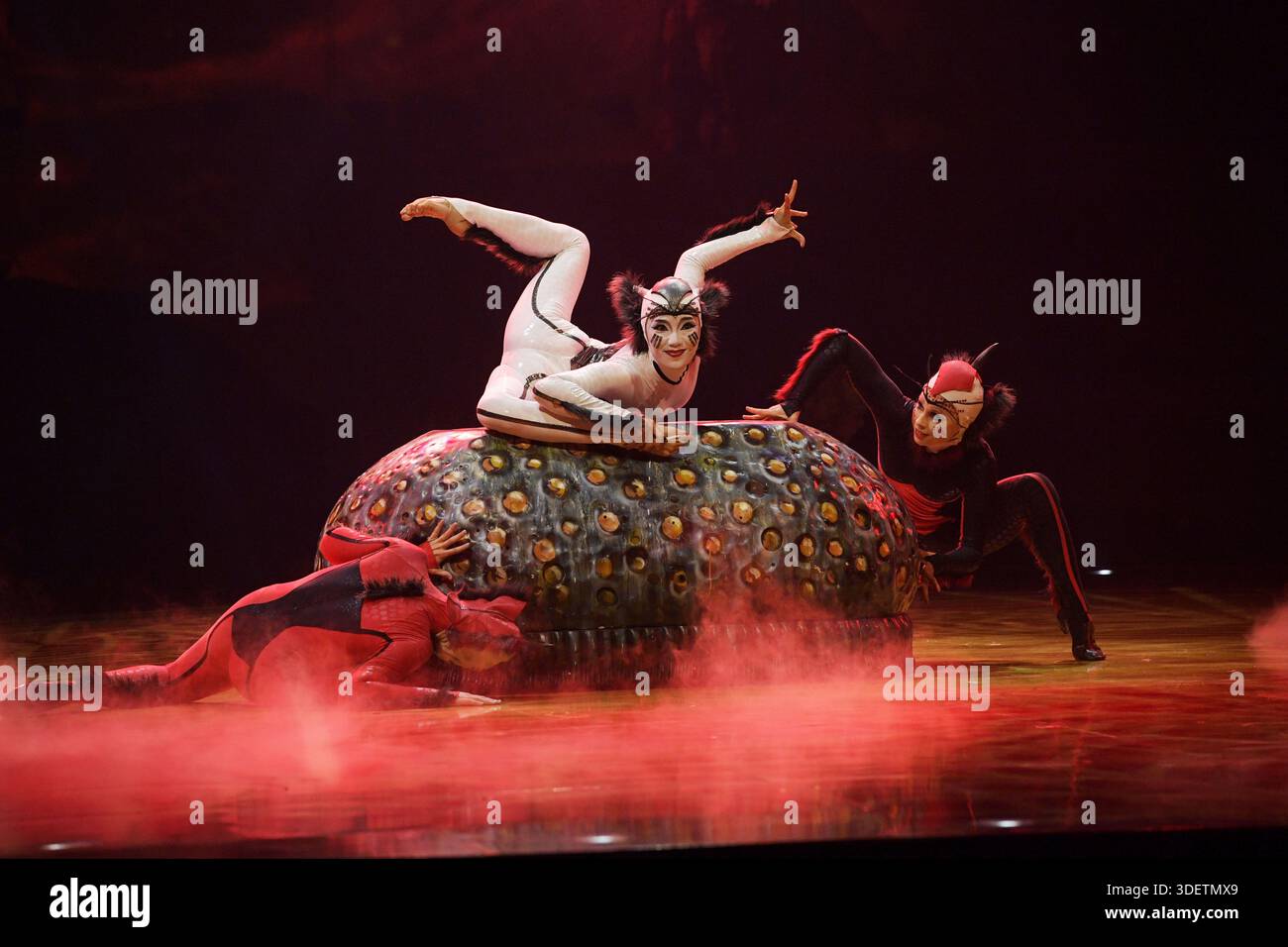 LONDON, ENGLAND - JANUARY 08: Cirque Du Soleil "OVO" at The Royal ...