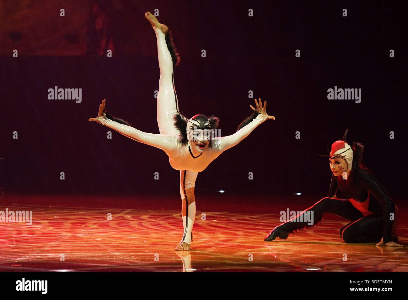 LONDON, ENGLAND - JANUARY 08: Cirque Du Soleil "OVO" at The Royal ...