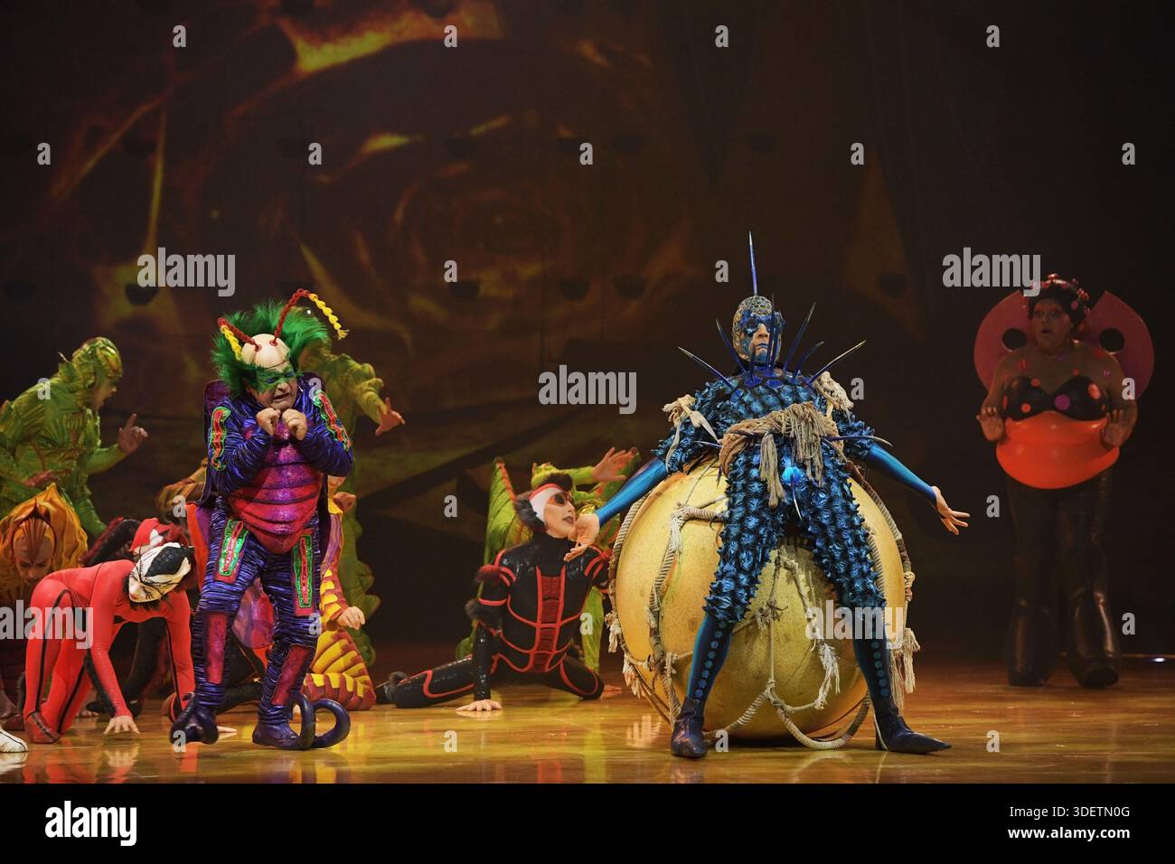 LONDON, ENGLAND - JANUARY 08: Cirque Du Soleil "OVO" at The Royal ...