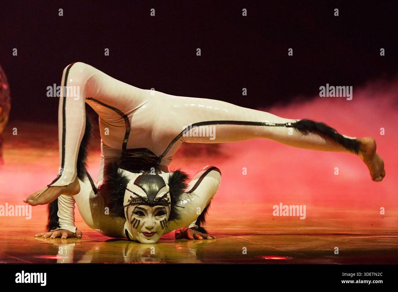 LONDON, ENGLAND - JANUARY 08: Cirque Du Soleil "OVO" at The Royal ...