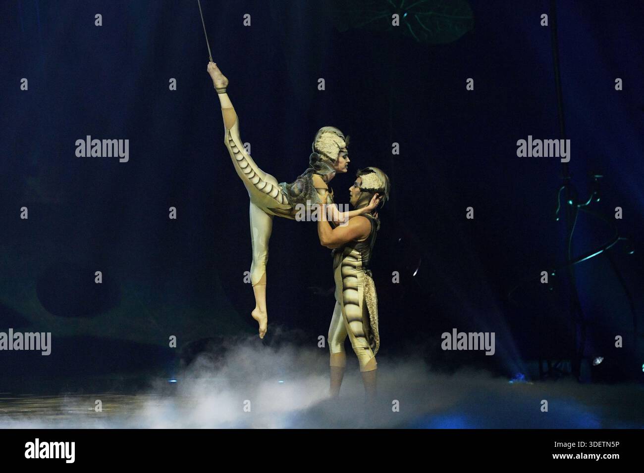 LONDON, ENGLAND - JANUARY 08: Cirque Du Soleil "OVO" at The Royal ...
