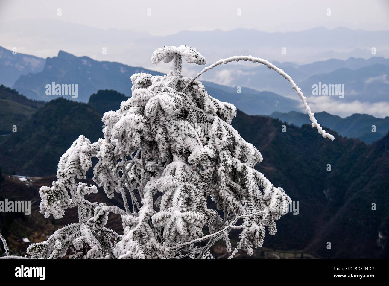 Aerial photo shows the snow-covered landscape in Youyang County ...