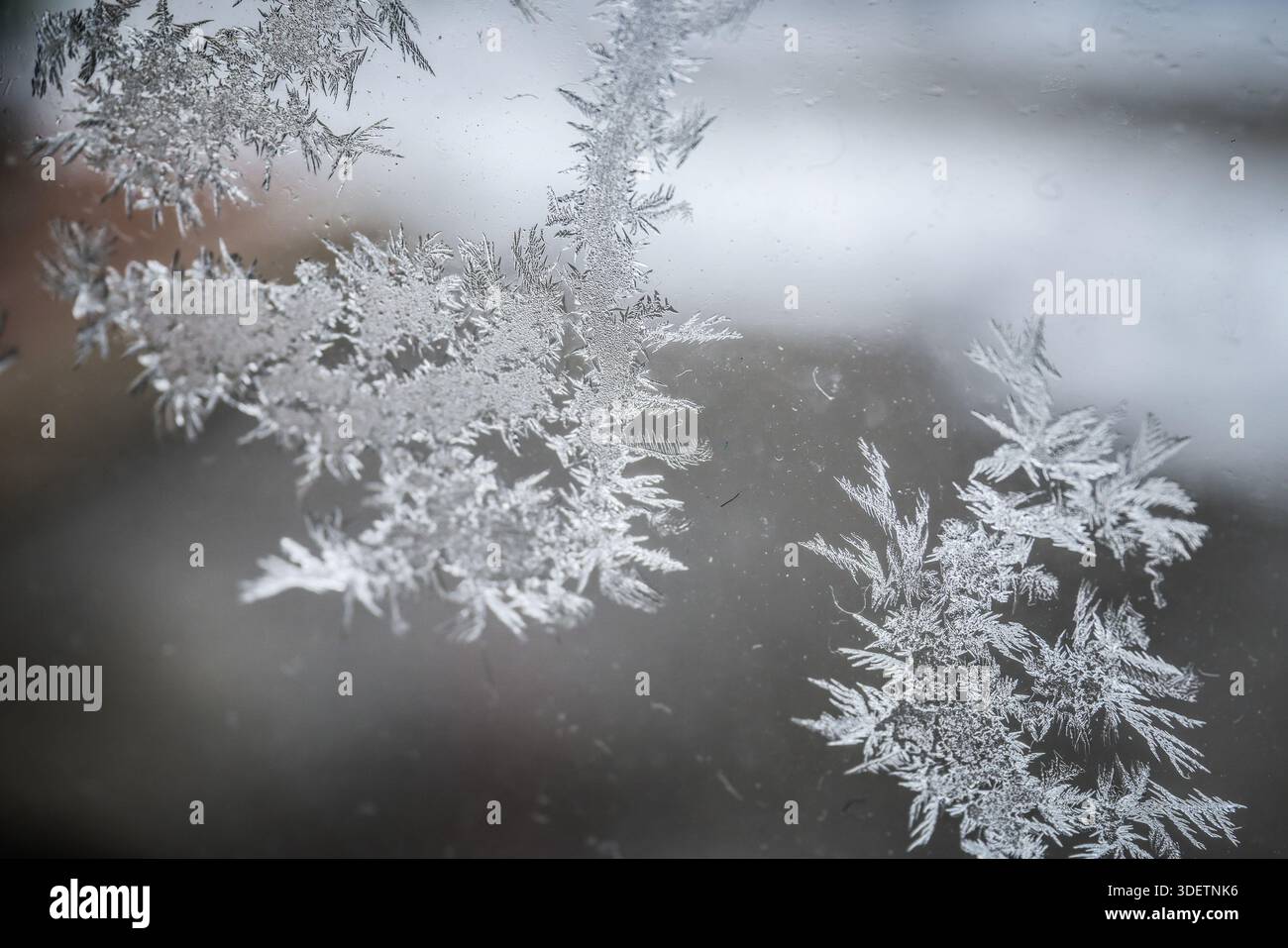 A photo taken on January 9, 2026 in Zagreb shows ice crystals and frost ...