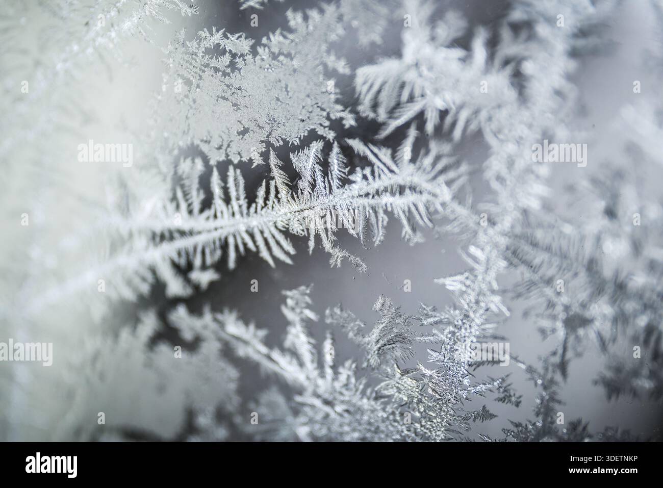 A photo taken on January 9, 2026 in Zagreb shows ice crystals and frost ...