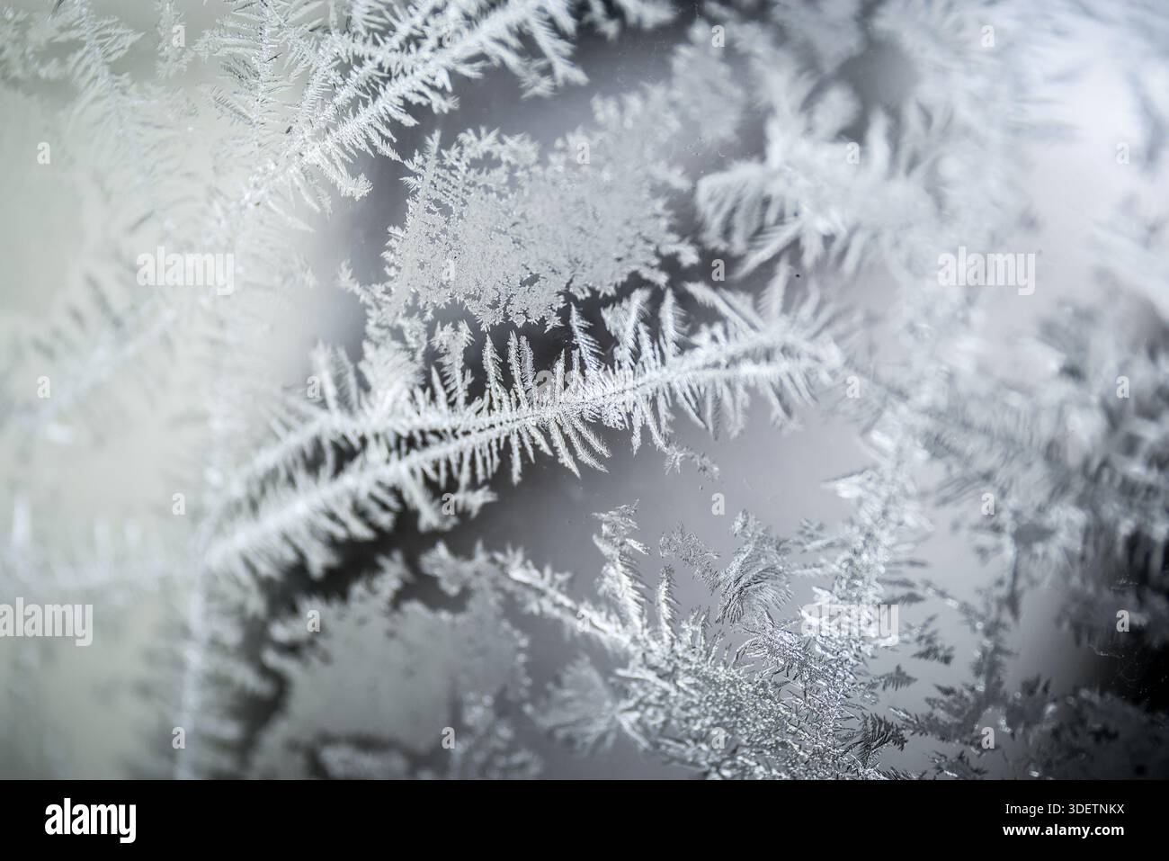 A photo taken on January 9, 2026 in Zagreb shows ice crystals and frost ...