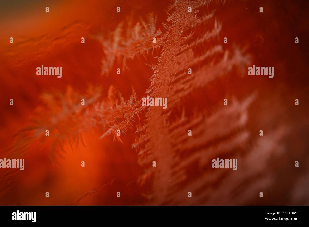 A photo taken on January 9, 2026 in Zagreb shows ice crystals and frost ...