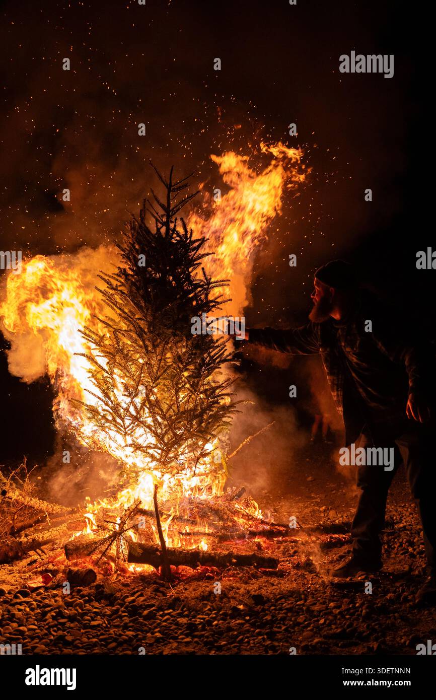 Seattle, USA. 8th Jan, 2026. Trees being burned in the annual Christmas ...