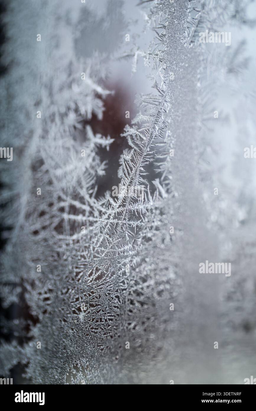 A photo taken on January 9, 2026 in Zagreb shows ice crystals and frost ...