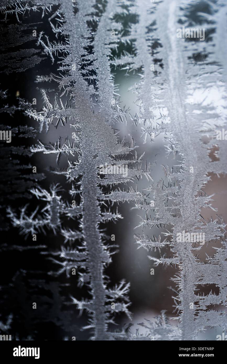 Zagreb, Hrvatska. 09th Jan, 2026. A photo taken on January 9, 2026 in ...