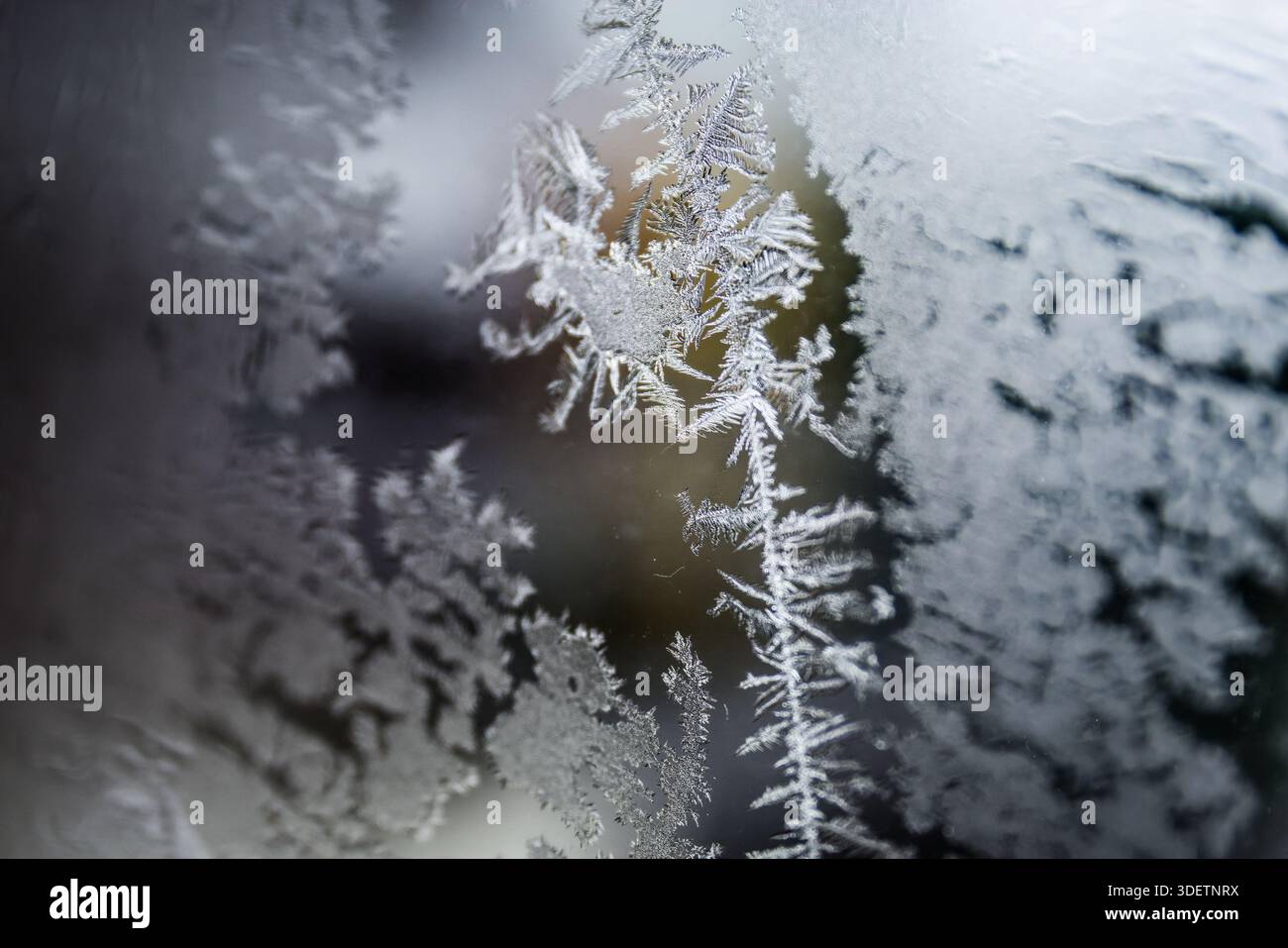 A photo taken on January 9, 2026 in Zagreb shows ice crystals and frost ...