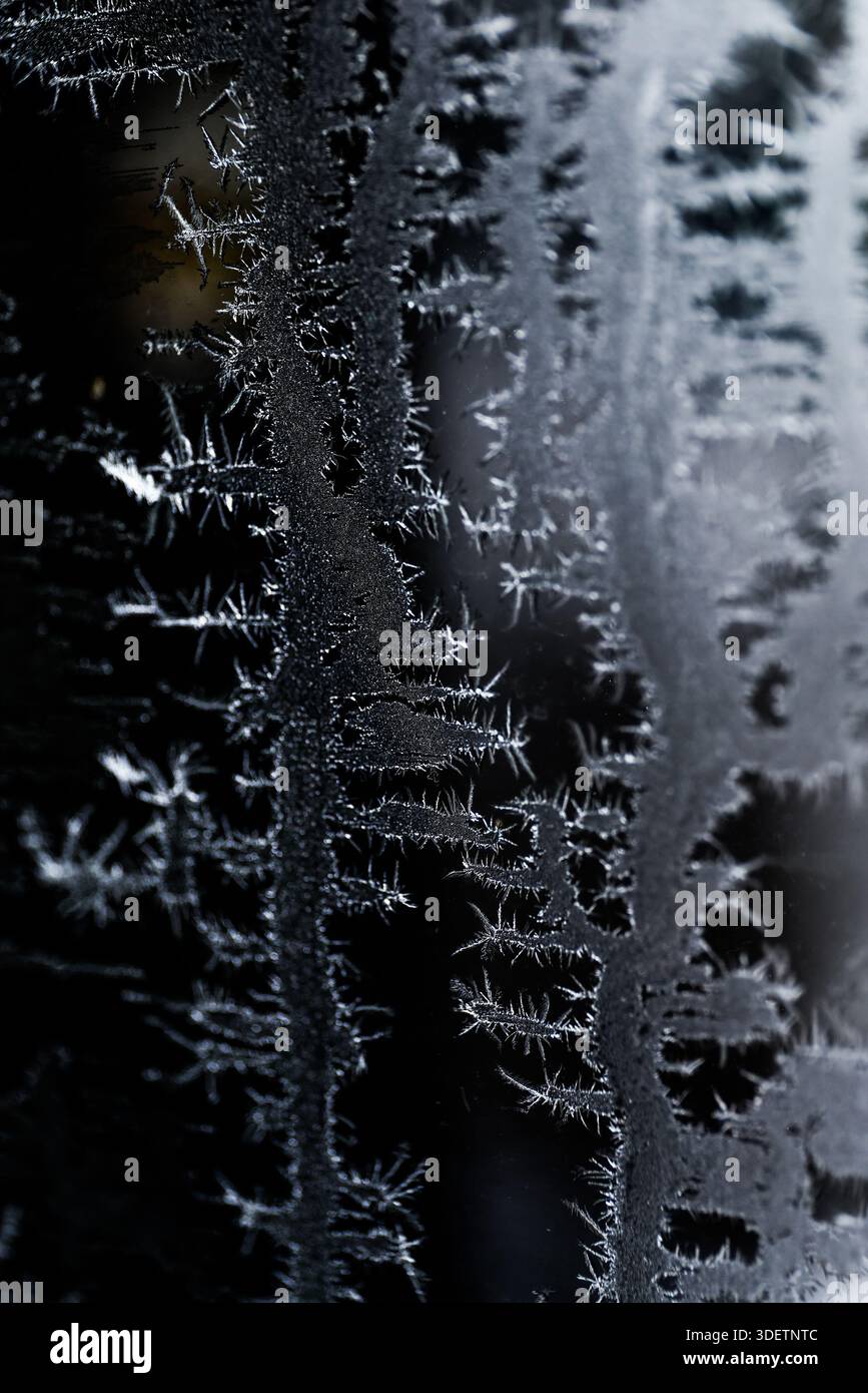 A photo taken on January 9, 2026 in Zagreb shows ice crystals and frost ...