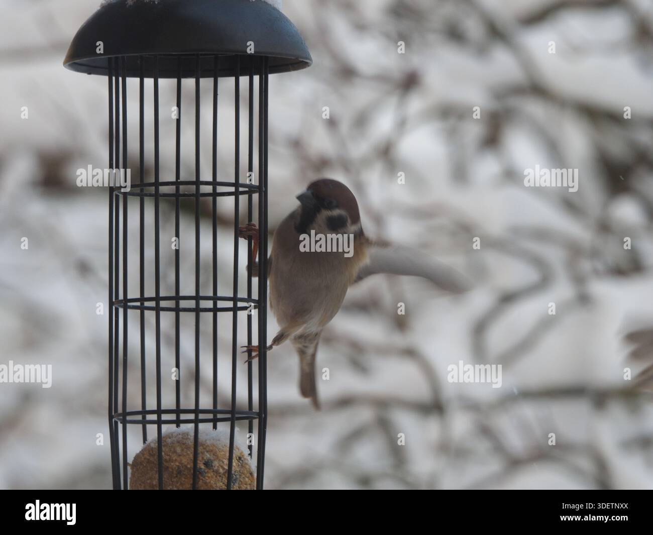 OLYMPUS DIGITAL CAMERA Stock Photo - Alamy