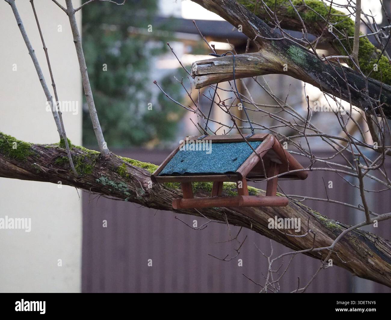 OLYMPUS DIGITAL CAMERA Stock Photo - Alamy