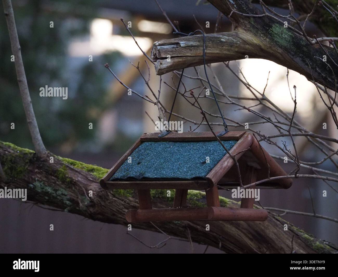 OLYMPUS DIGITAL CAMERA Stock Photo - Alamy