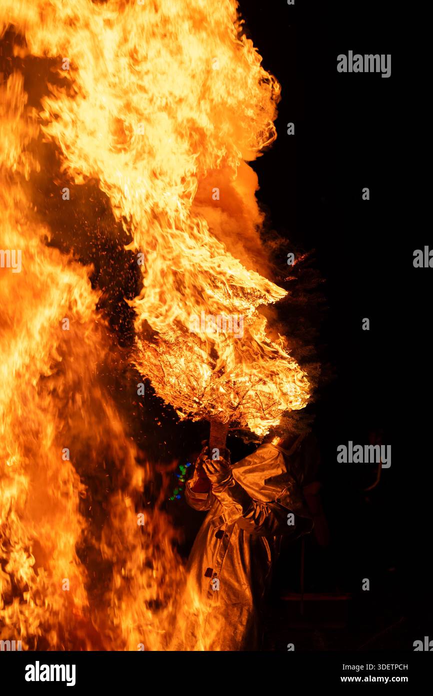 Seattle, USA. 8th Jan, 2026. Trees being burned in the annual Christmas ...