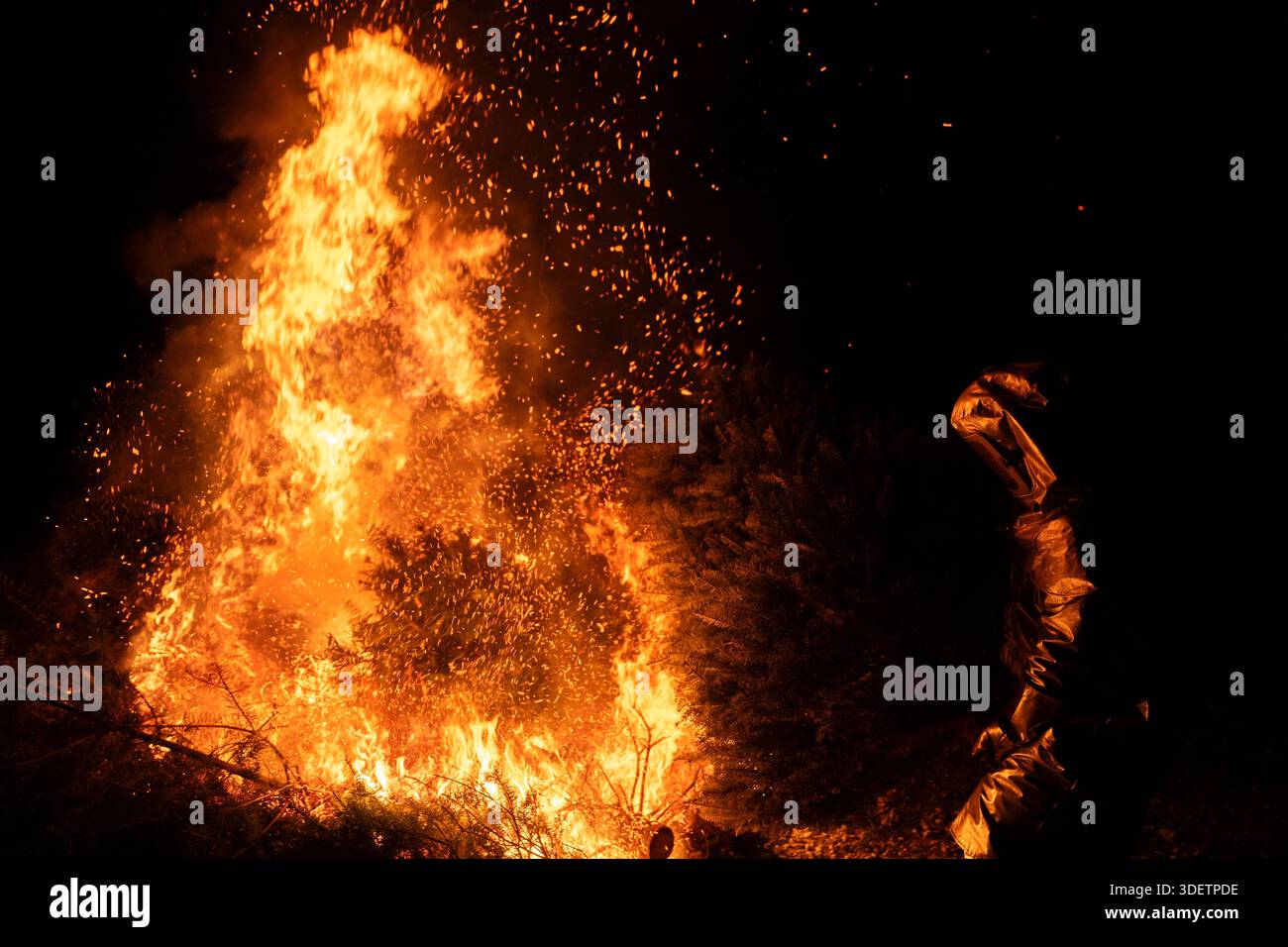 Seattle, USA. 8th Jan, 2026. Trees being burned in the annual Christmas ...