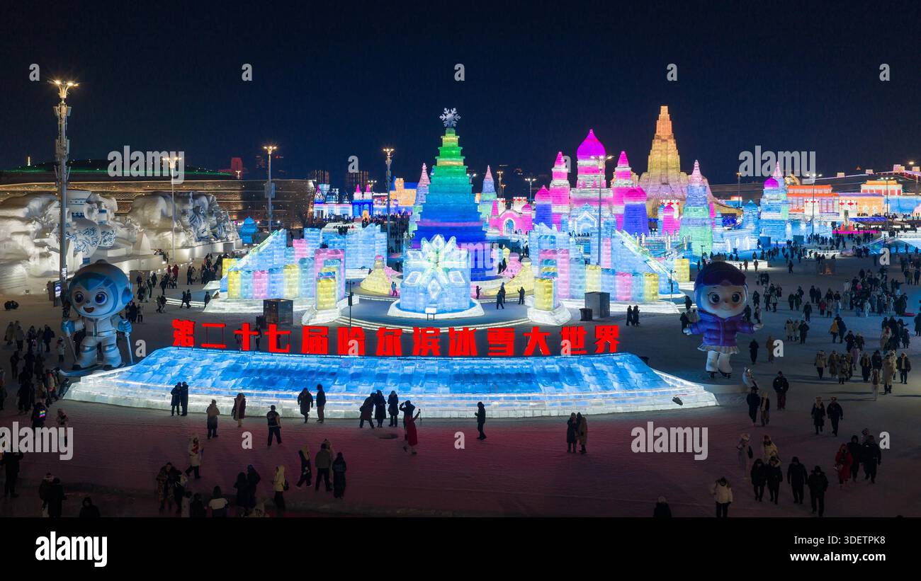 Harbin opens its 42nd Ice and Snow Festival at Harbin Ice-Snow World in ...