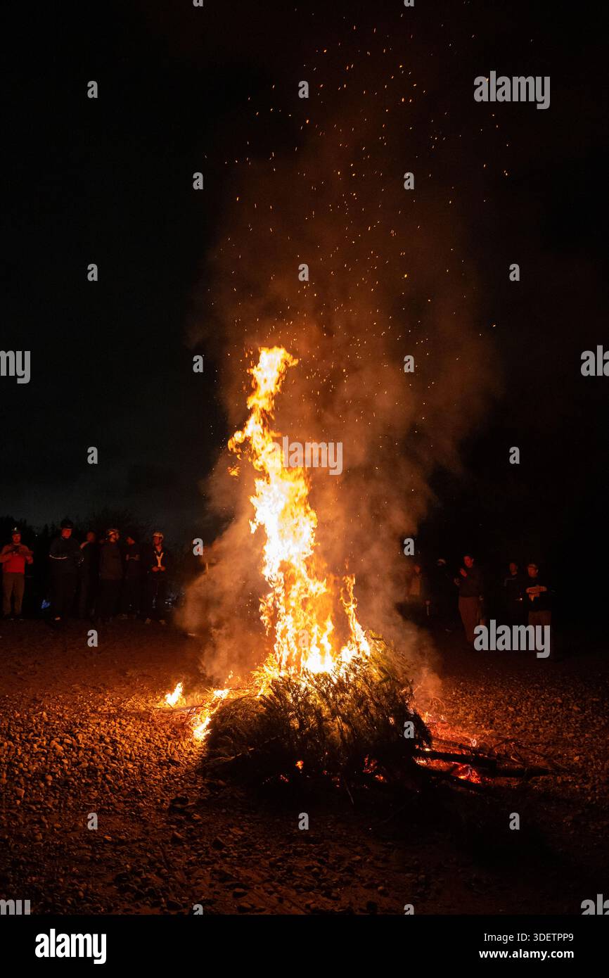 Seattle, USA. 8th Jan, 2026. Trees being burned in the annual Christmas ...