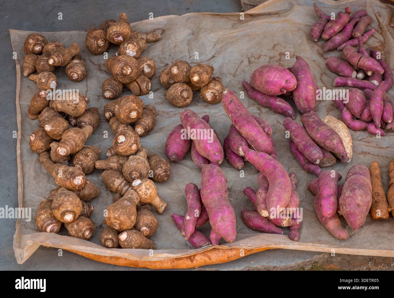 Madagascar potato hi-res stock photography and images - Alamy