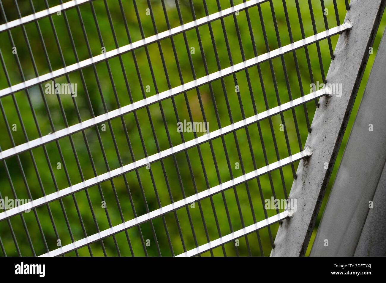 Complex pattern features hi-res stock photography and images - Alamy