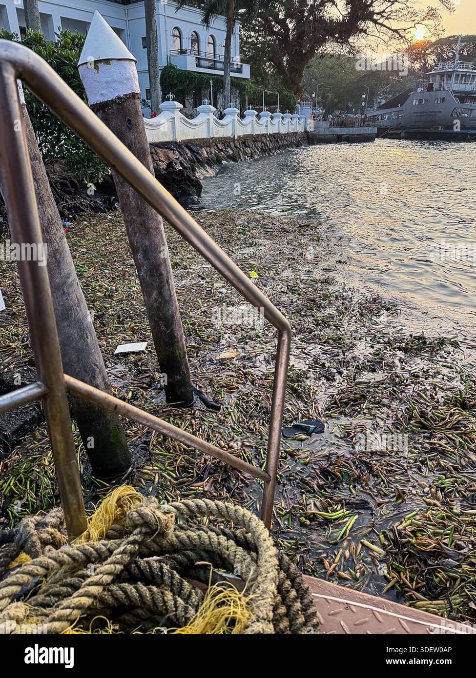 Traditional Chinese fishing nets line the waterfront in Kochi, Kerala ...