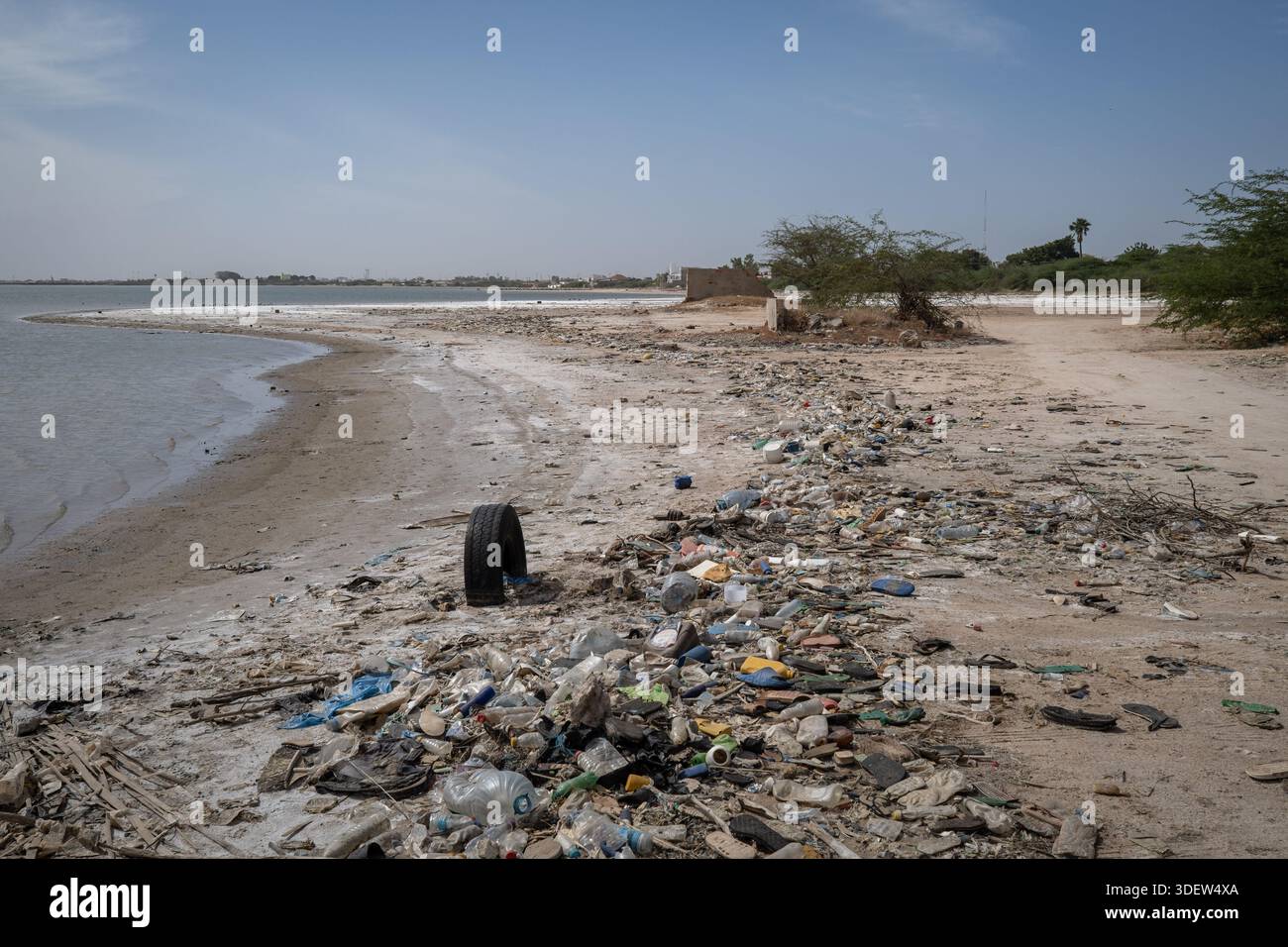 Thousands of pieces of plastic waste washed up on a beach along the ...