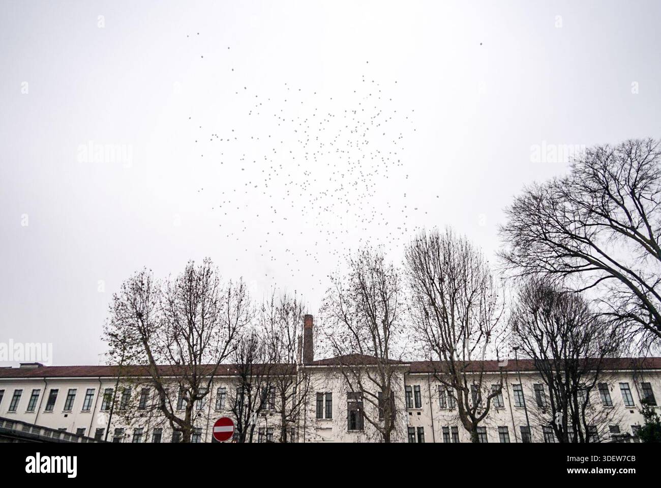MILAN - White balloons were released from the Moreschi High School ...