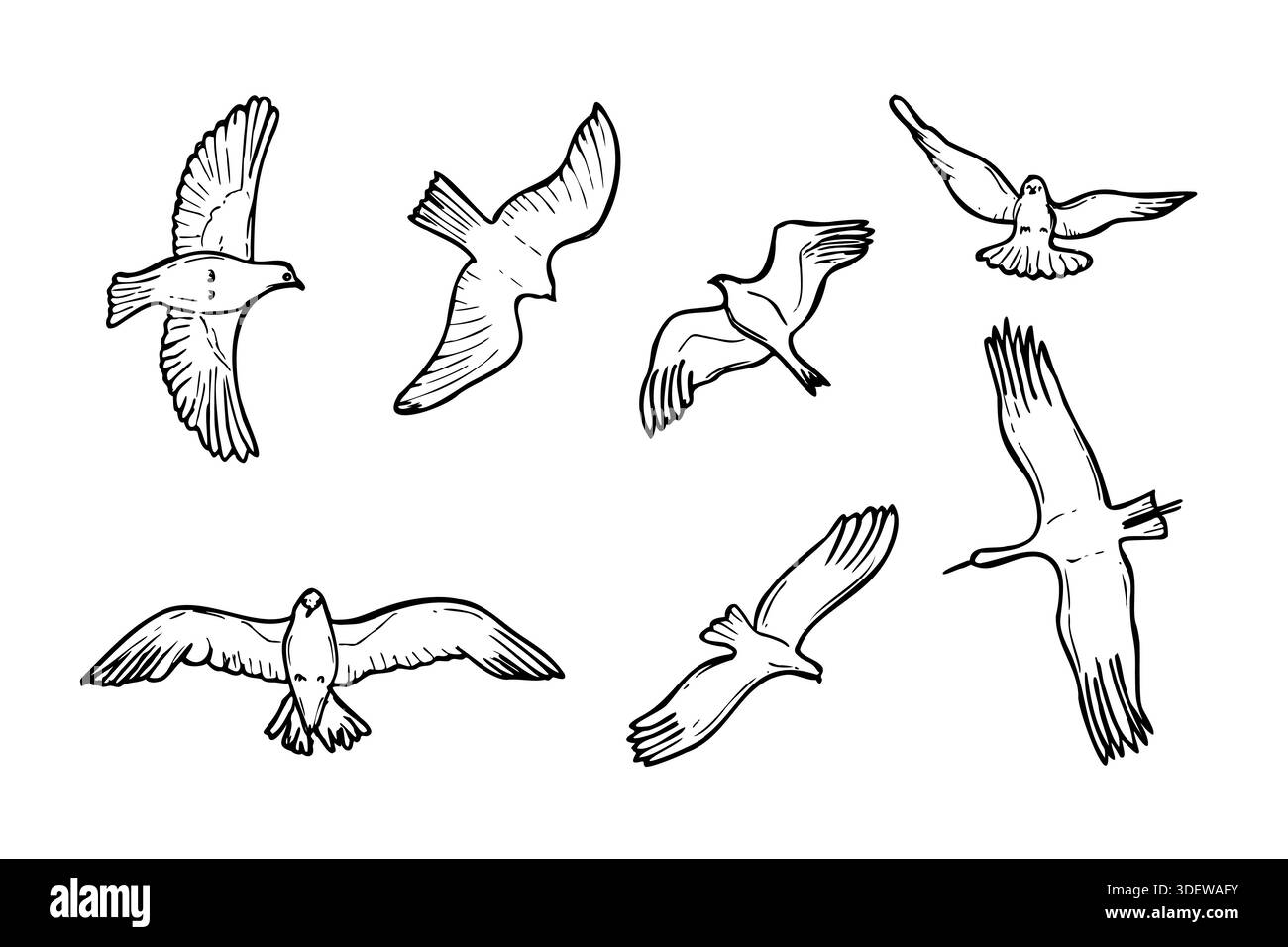 Line Drawing Birds Flying