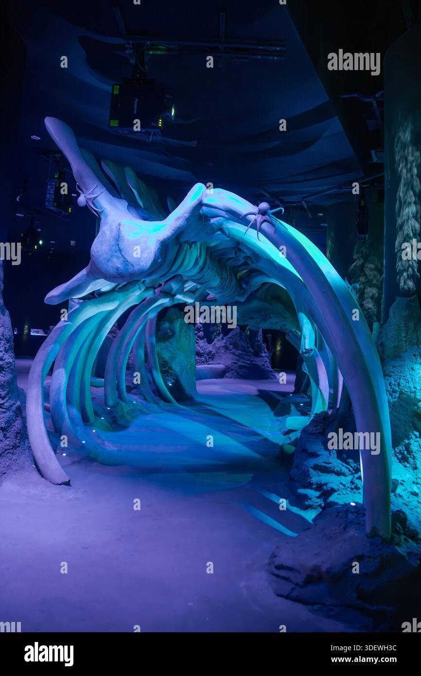 Singapore 22nd Dec 2025: The whale fall exhibit at the Singapore ...