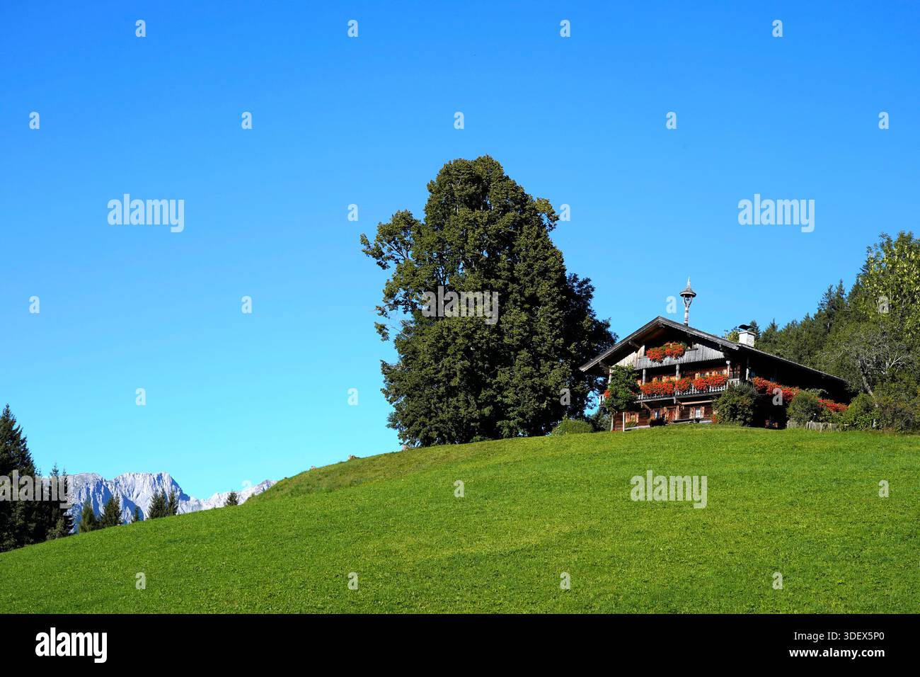 Austria, Tyrol, Söll, Kaiser Mountains, Bromberg, Gruberhof from the TV ...