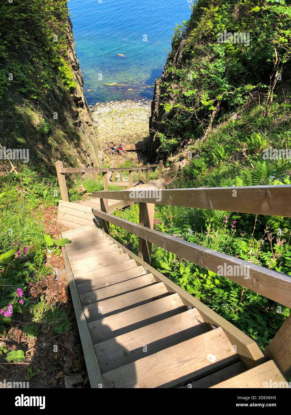 Wooden staircase at the helligdomsklippen on bornholm hi-res stock ...