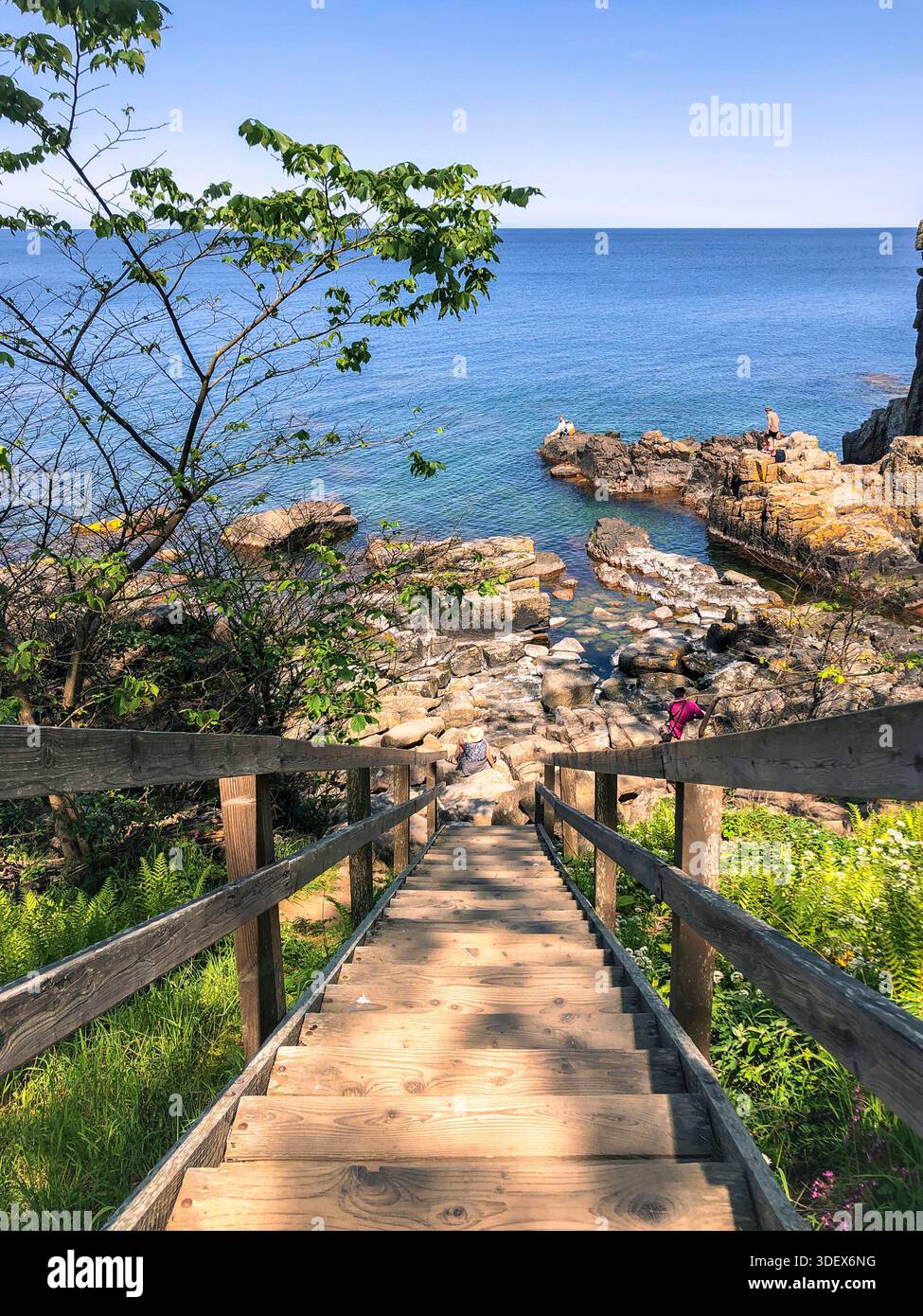 Wooden staircase at the helligdomsklippen on bornholm hi-res stock ...