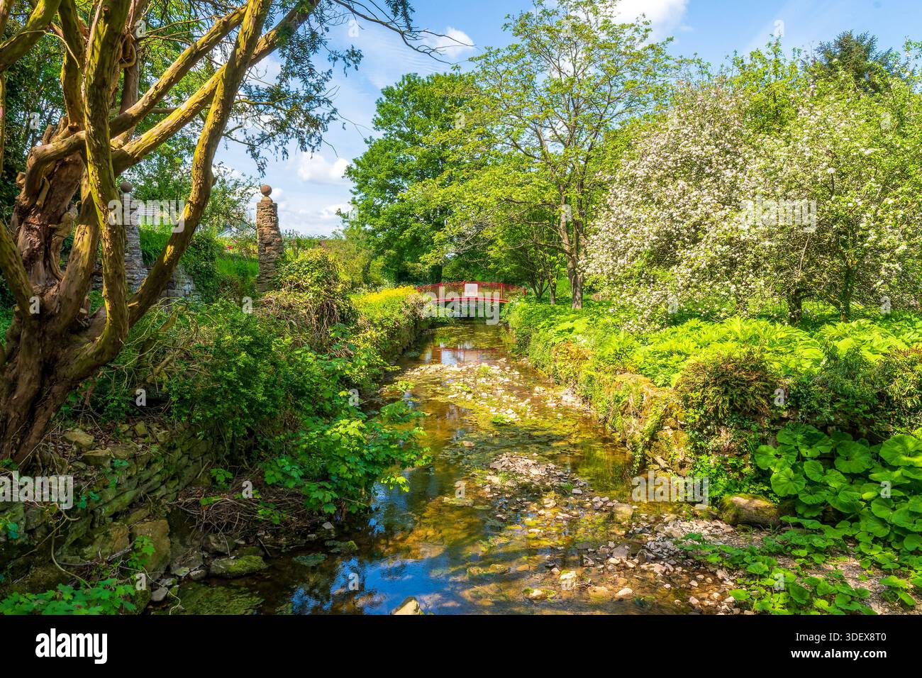 Wooded stream flowing through Morland Gardens in Kendal, Cumbria ...