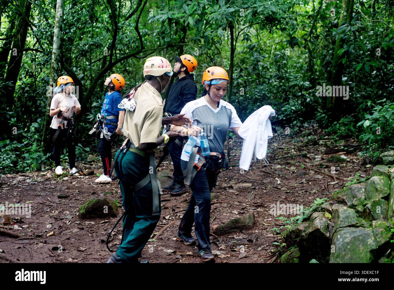 People immerse themselves in the lush greenery of Mabira Forest, Uganda ...