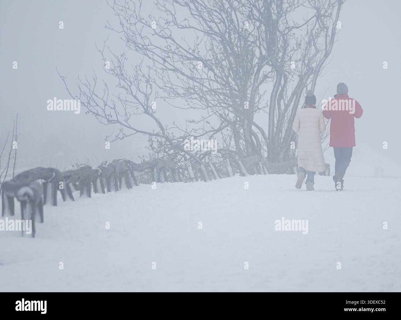 Schmitten, Germany. 09th Jan, 2026. Walkers cross the Feldberg plateau ...