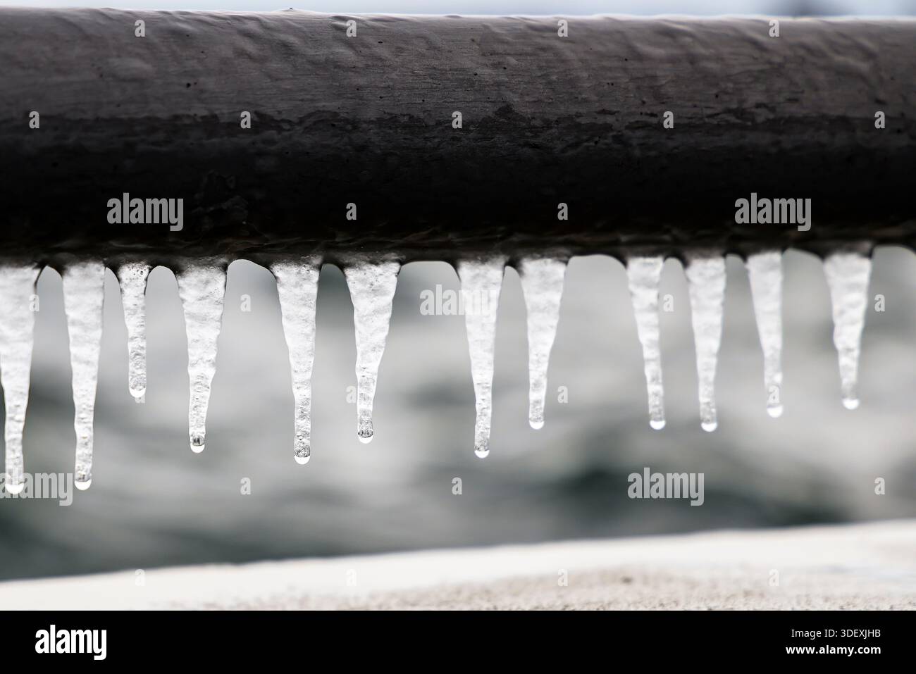 09 January 2026, Schleswig-Holstein, Strande: Icicles have formed on ...