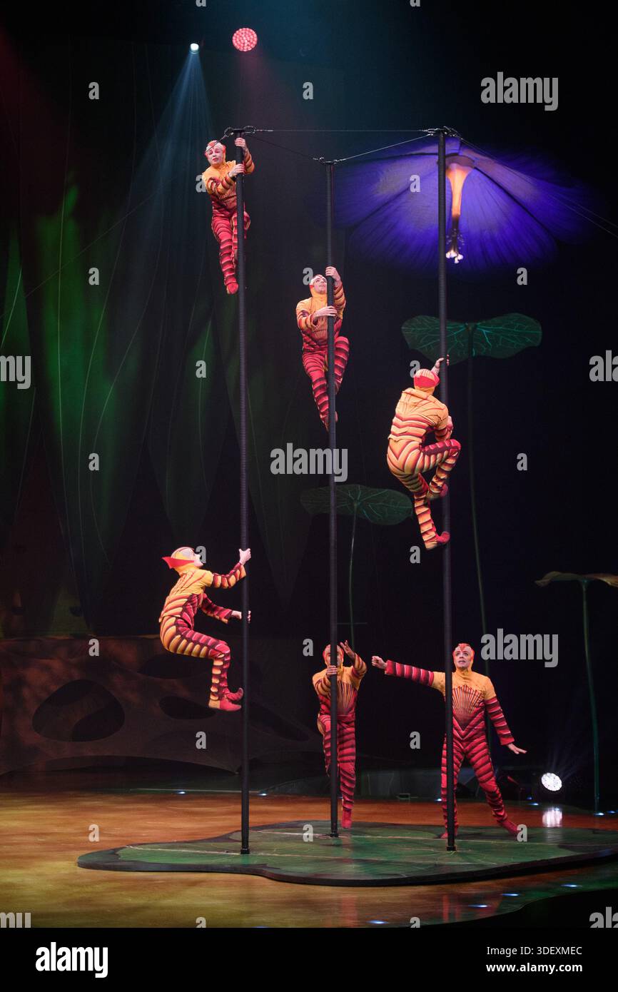 London, UK. 08 Jan, 2026. Pictured: Charlotte Fallu, Jesse Harris ...