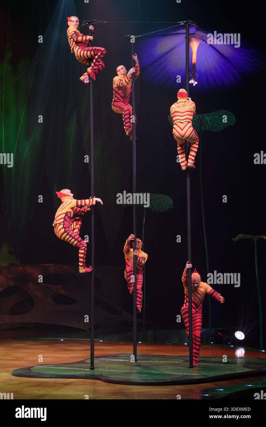 London, UK. 08 Jan, 2026. Pictured: Charlotte Fallu, Jesse Harris ...