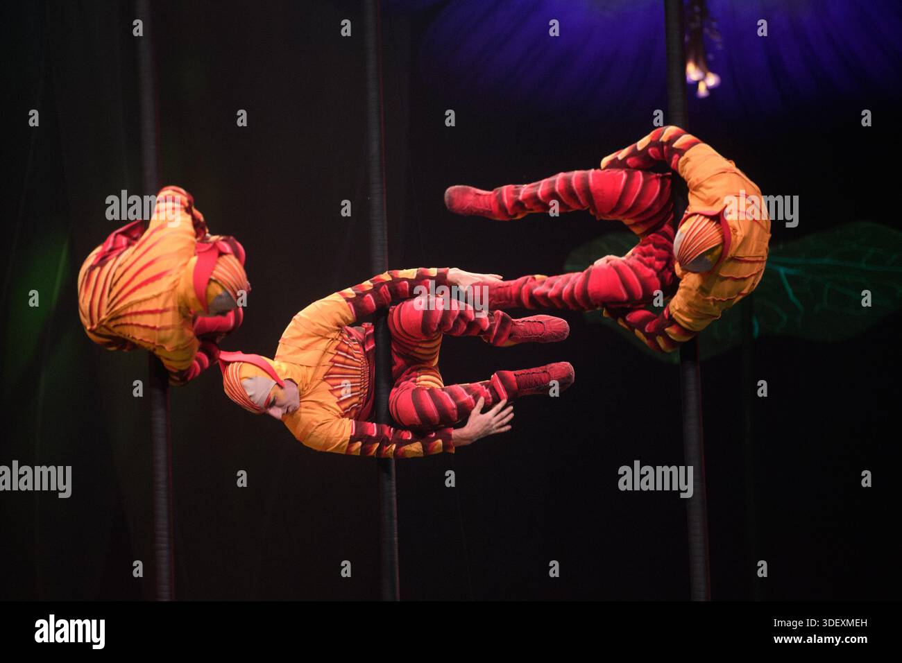 London, UK. 08 Jan, 2026. Pictured: Charlotte Fallu, Jesse Harris ...