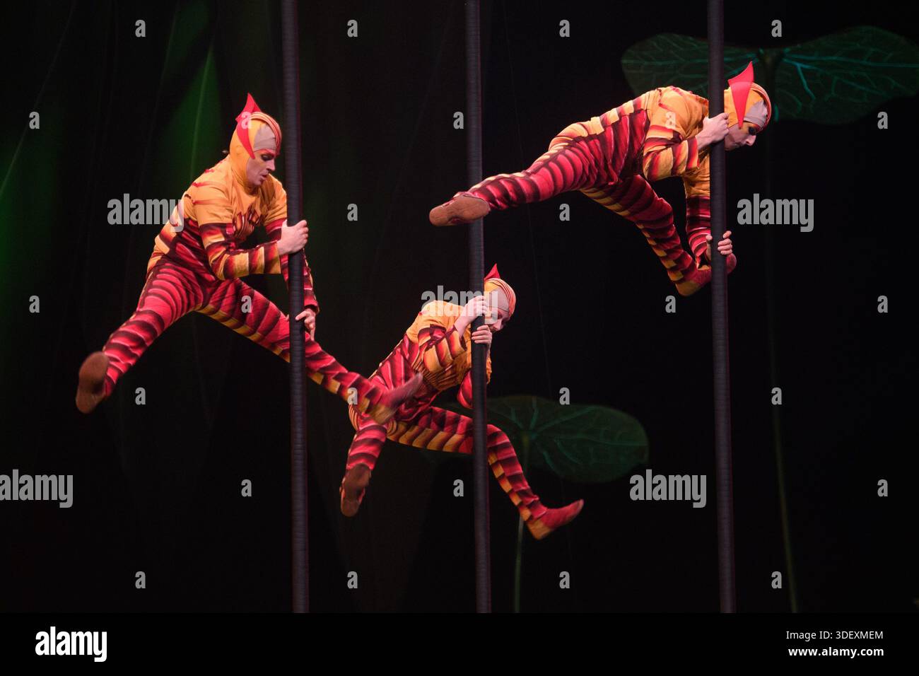 London, UK. 08 Jan, 2026. Pictured: Charlotte Fallu, Jesse Harris ...