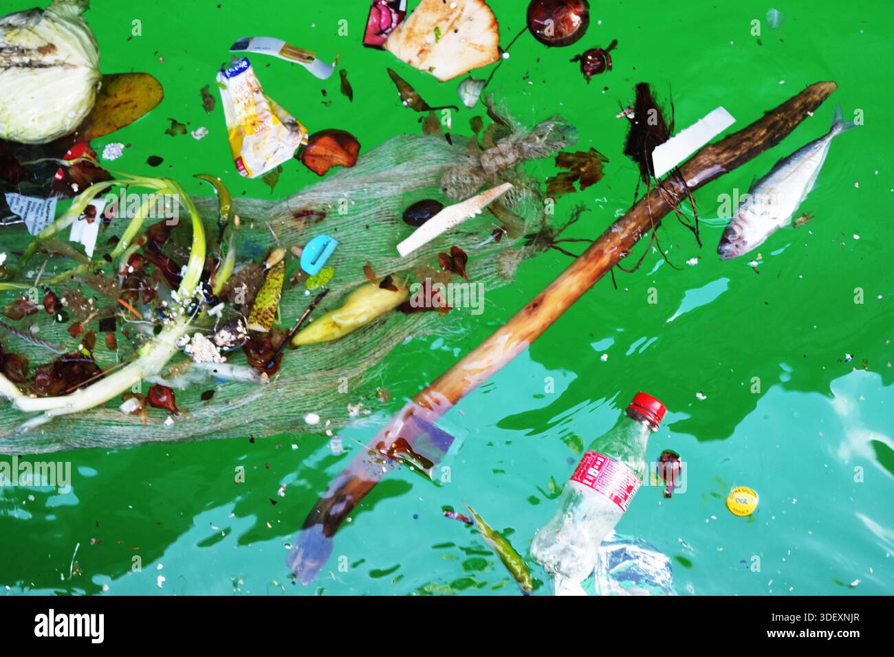 Symbol Sri Lanka, 20251226, Mikroplastik, Abfälle am Hafen Matara, in ...