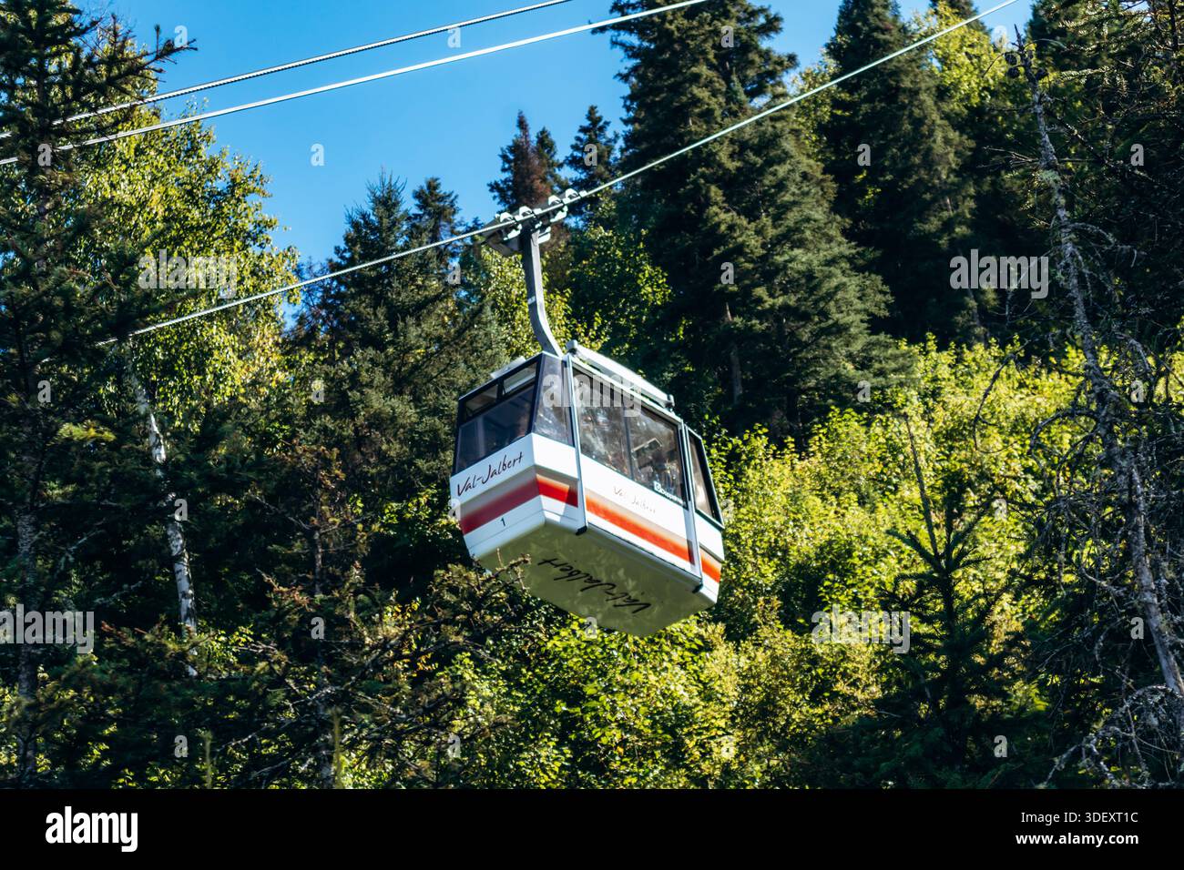 Cableway air tram in forest hi-res stock photography and images - Alamy