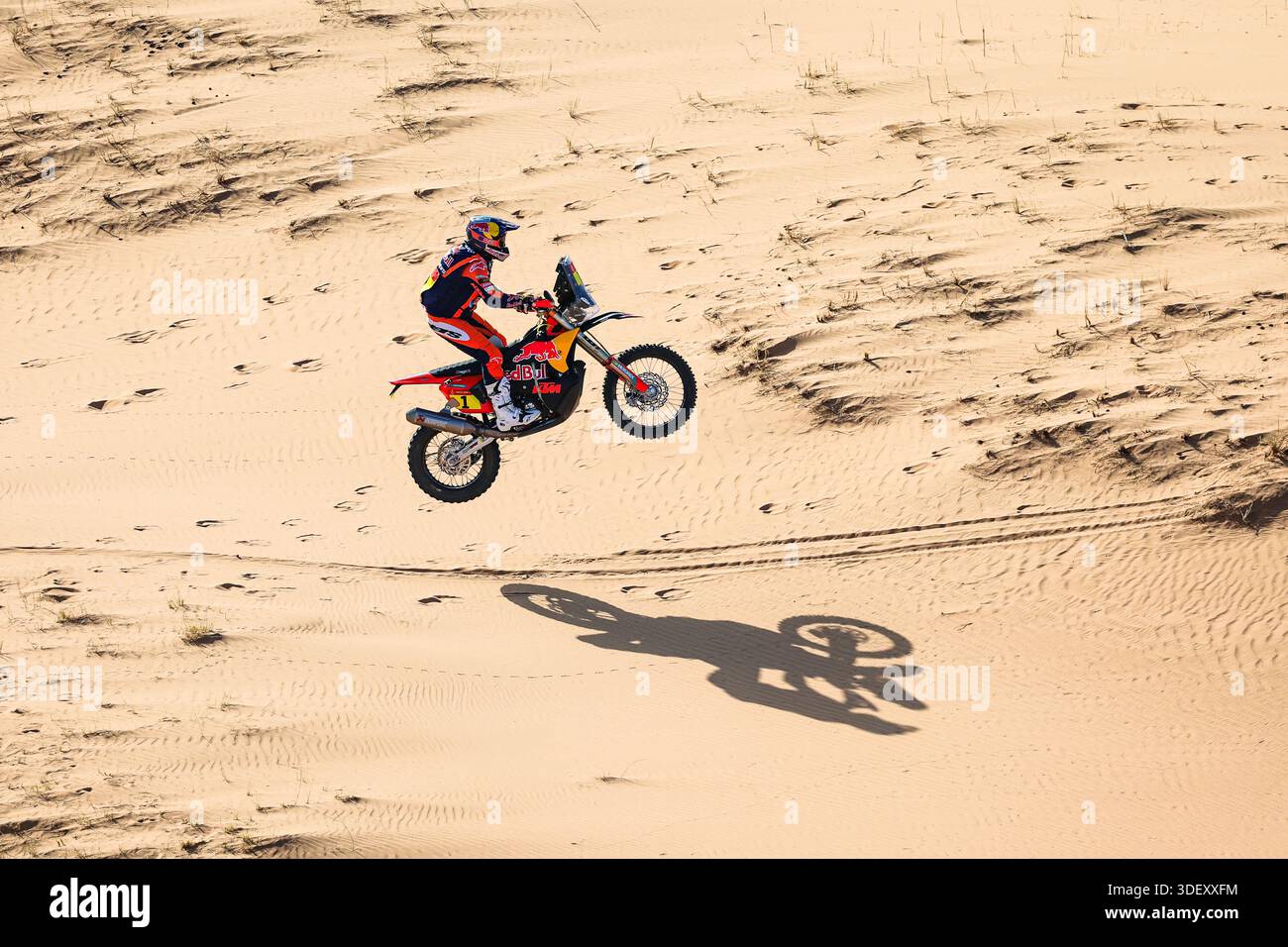 01 SANDERS Daniel (aus), Red Bull KTM Factory Racing, KTM, Rally GP ...