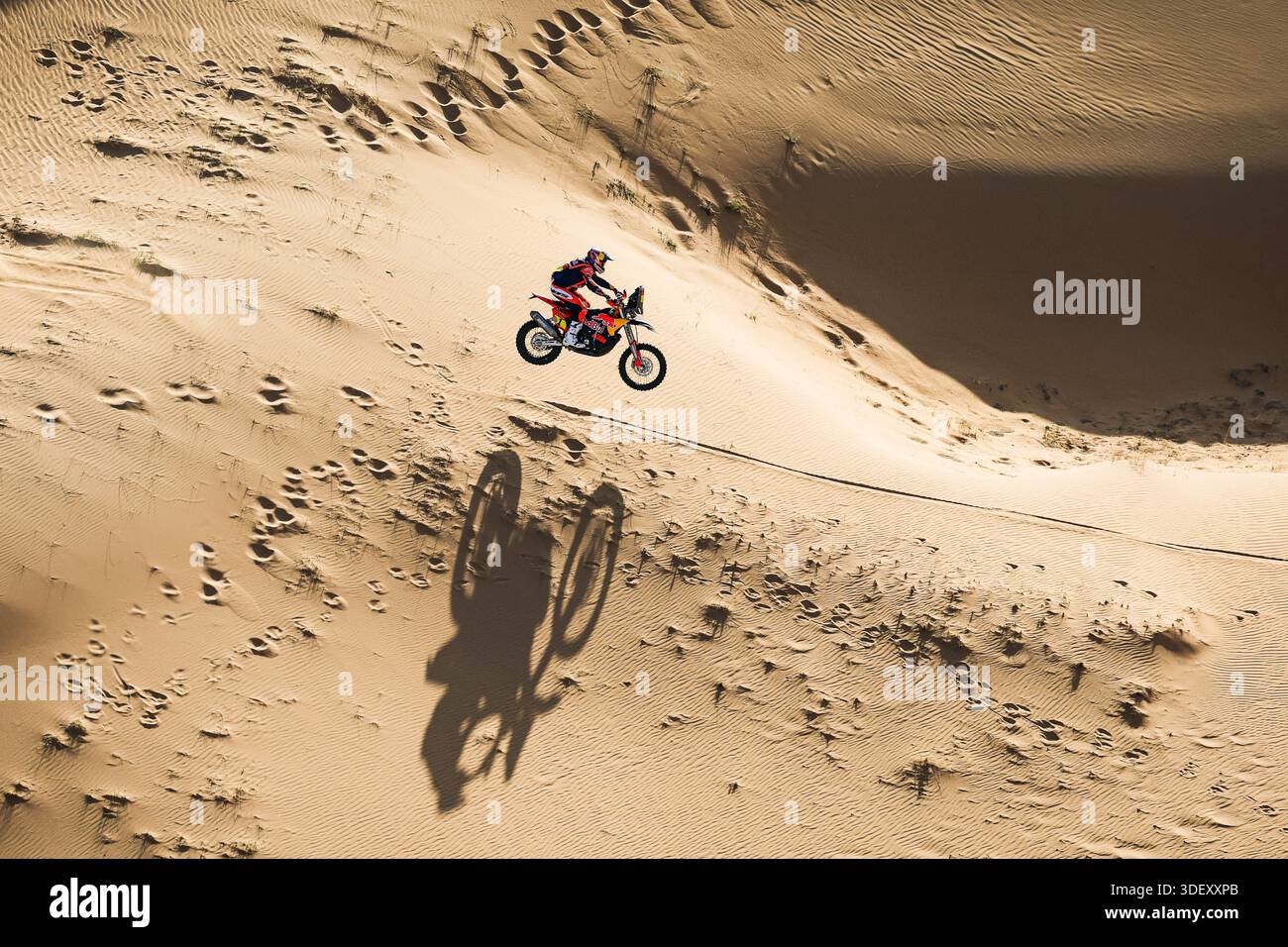01 SANDERS Daniel (aus), Red Bull KTM Factory Racing, KTM, Rally GP ...