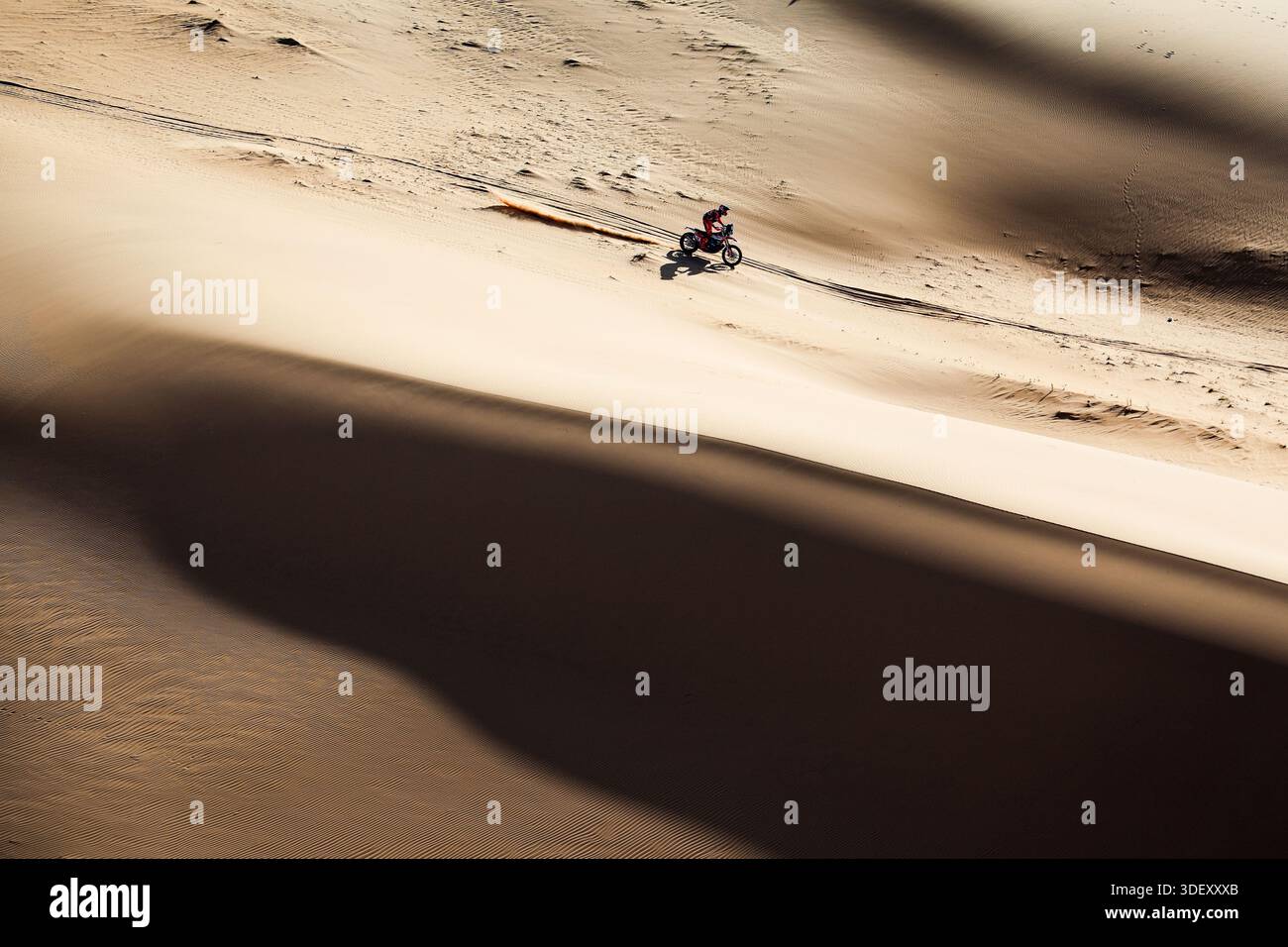 16 MULEC Toni (slo), BAS World KTM Team, KTM, Rallye 2, FIM W2RC ...