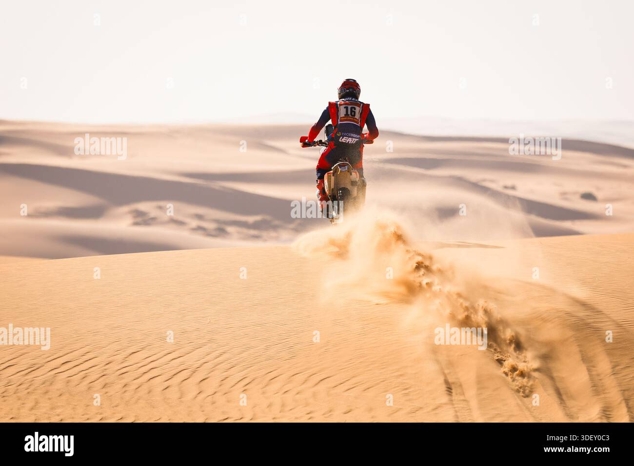 16 MULEC Toni (slo), BAS World KTM Team, KTM, Rallye 2, FIM W2RC ...