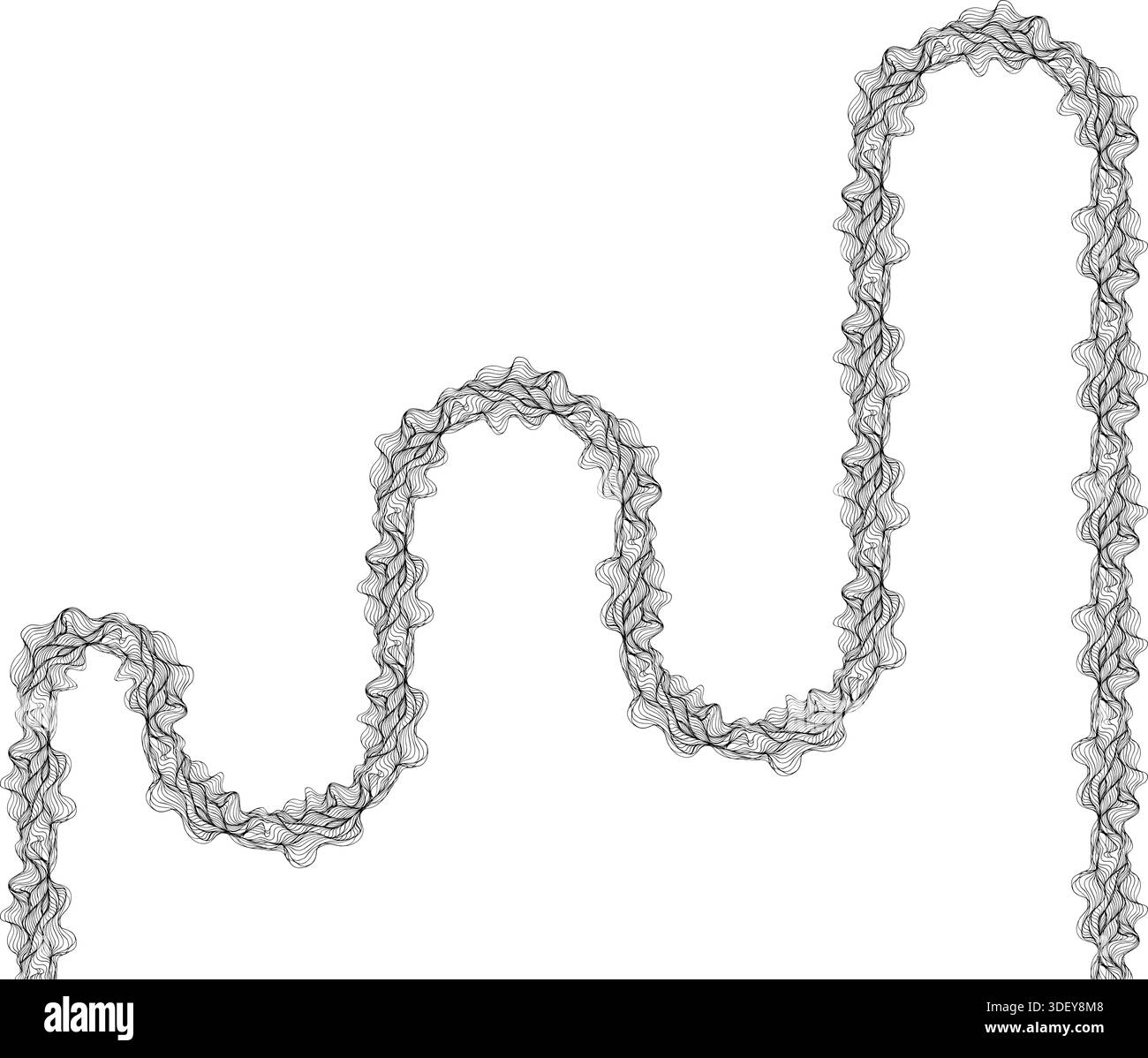 Visual pathways Black and White Stock Photos & Images - Alamy