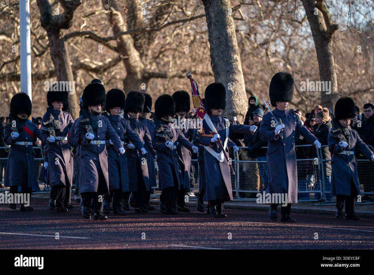 Members of the royal guard marching while participating in the changing ...