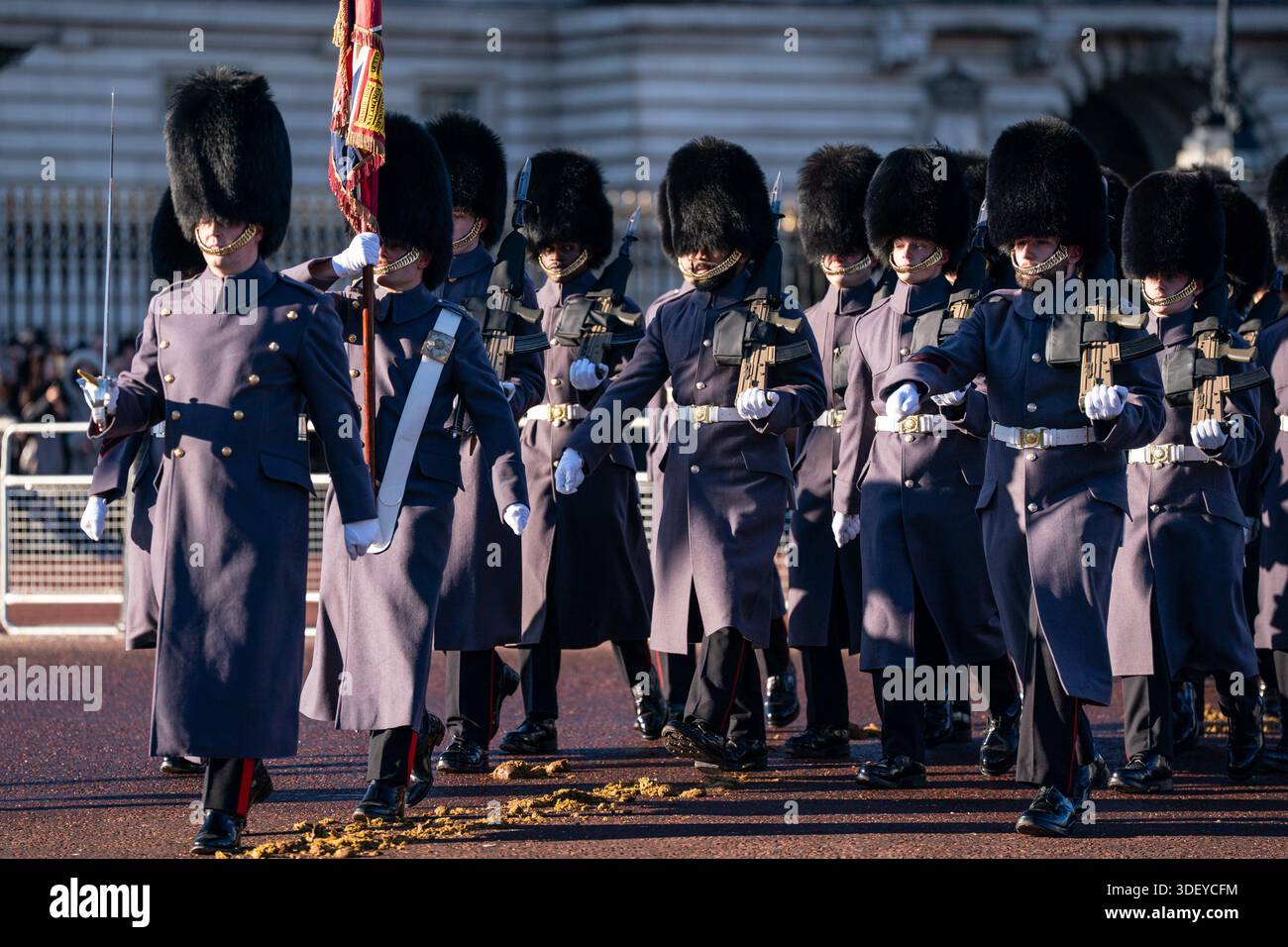 Members of the royal guard marching while participating in the changing ...